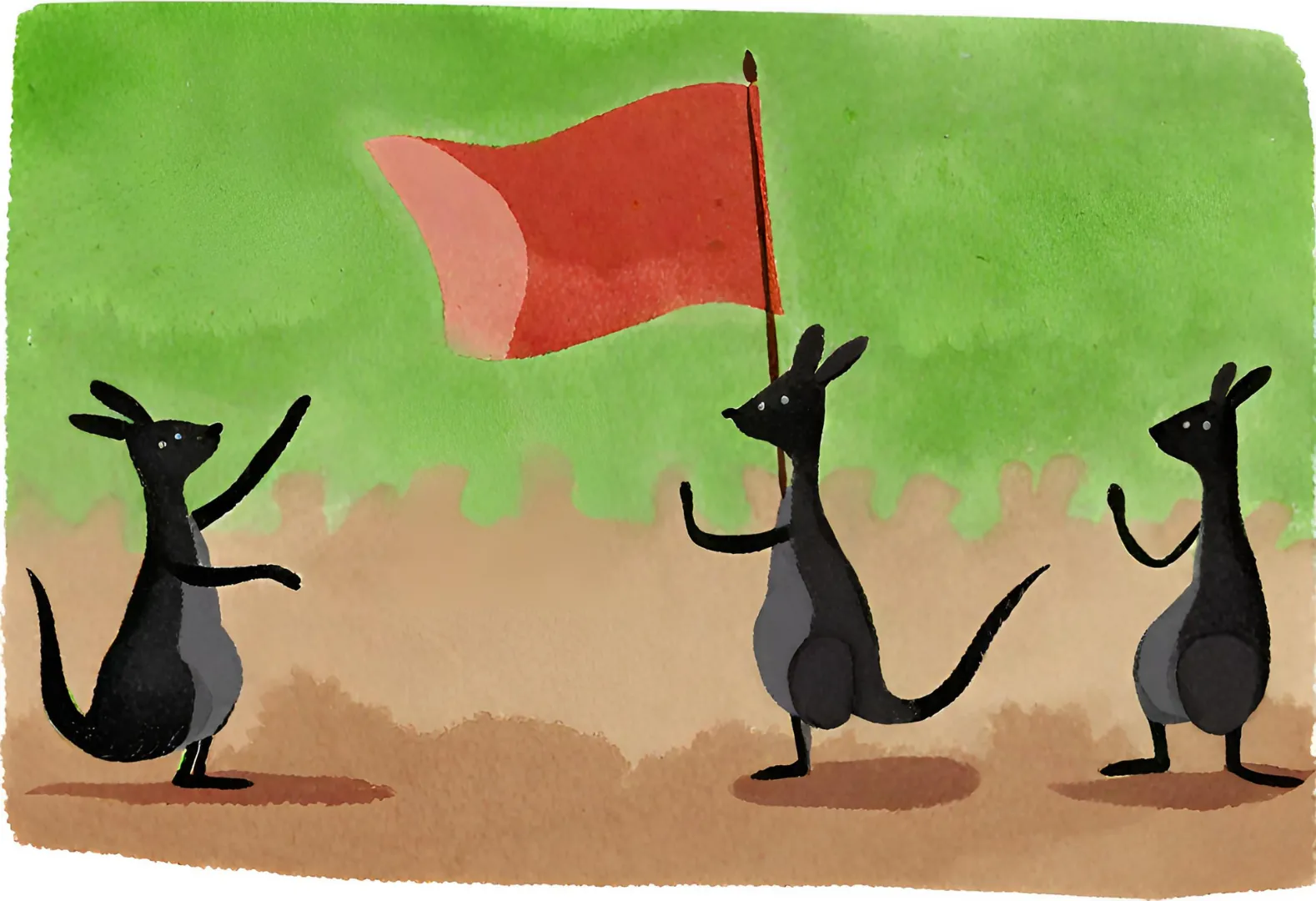 6 Red Flags | When Choosing a Website Builder in Australia