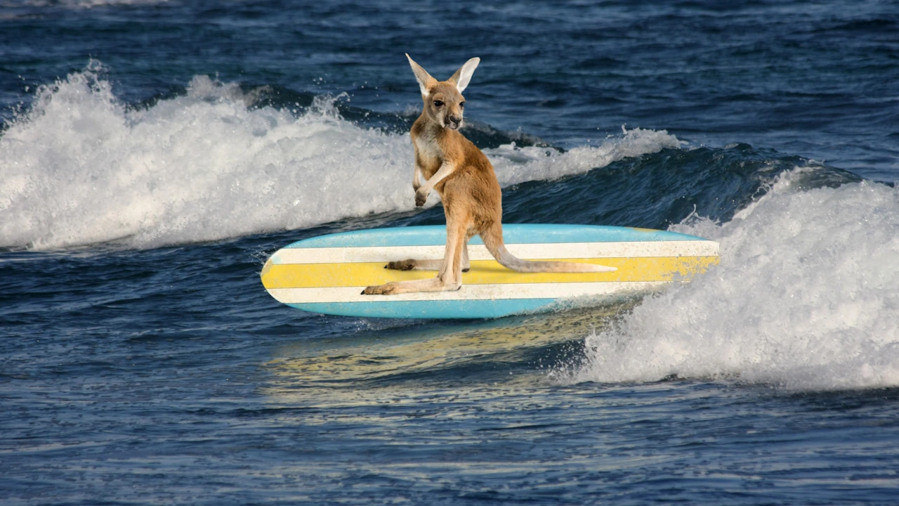 WebWave: Making Waves as an Australian Website Builder in 2023 WebWave: Making Waves as an Australian Website Builder in 2023